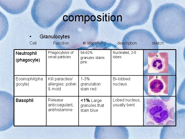 BLOOD Ch 12 Function Maintain homeostasis through Transportation