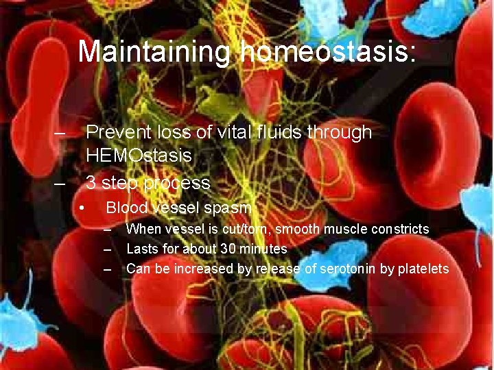 BLOOD Ch 12 Function Maintain homeostasis through Transportation