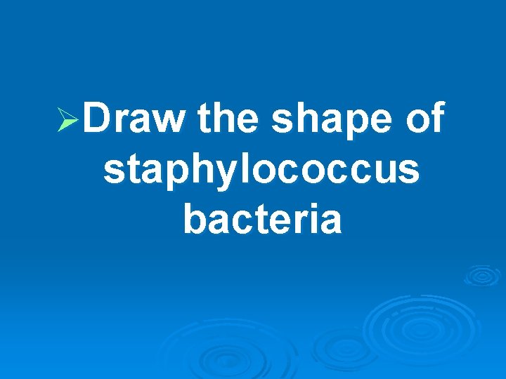 Chapter 4 Review What is the basic functional