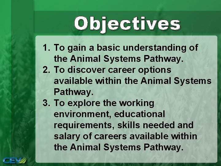 Animal Systems 1 Objectives 1 To gain a