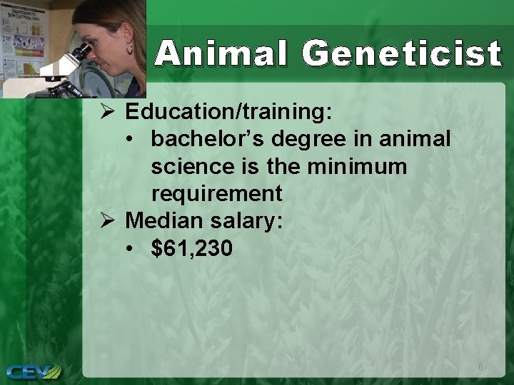 Animal Systems 1 Objectives 1 To gain a