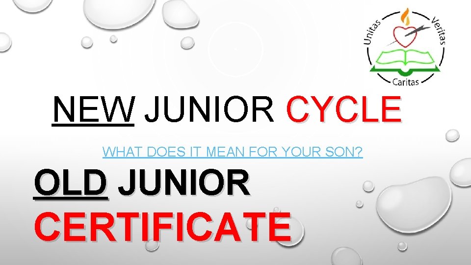 NEW JUNIOR CYCLE WHAT DOES IT MEAN FOR