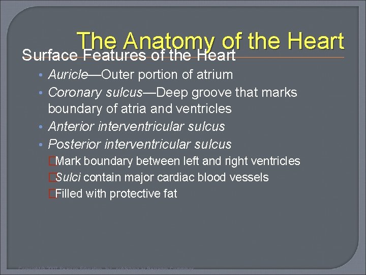 The Cardiovascular System The Heart Hearts Place in