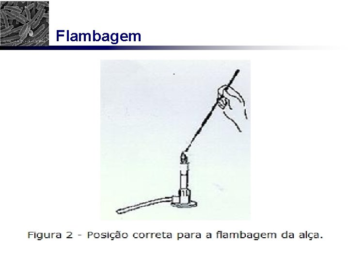 Controle dos Microorganismos Universidade Santo Amaro Faculdade Biomedicina
