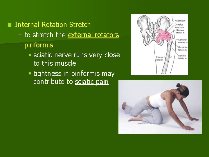 Rehabilitation of Injuries to the Spine Chapter 24