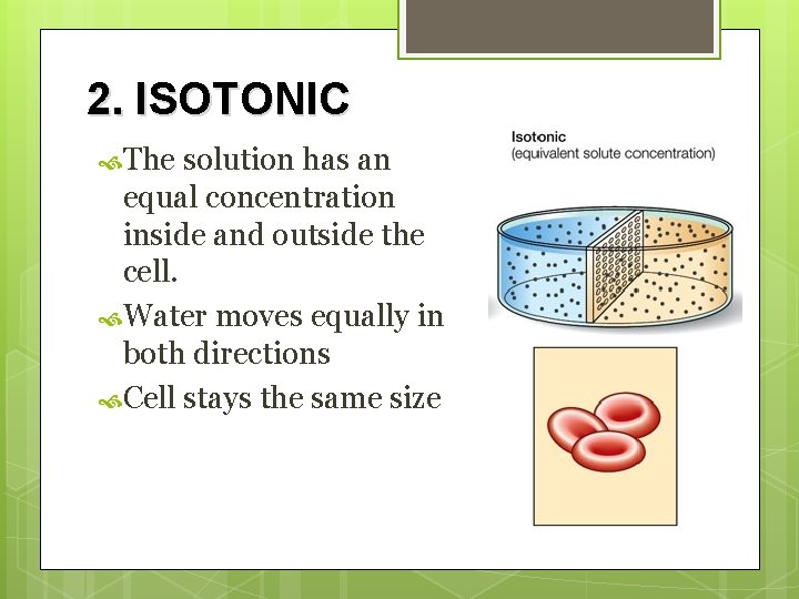 CELLULAR TRANSPORT CELL MEMBRANE All cells have cell
