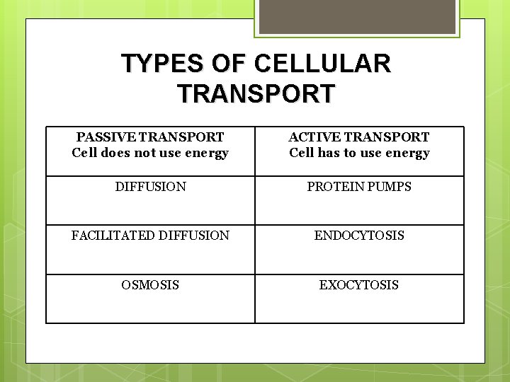 CELLULAR TRANSPORT CELL MEMBRANE All cells have cell