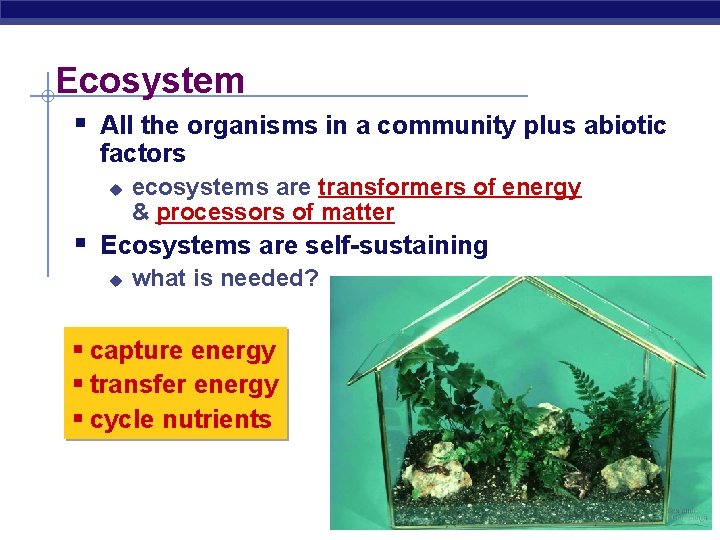Ecosystem All the organisms in a community plus