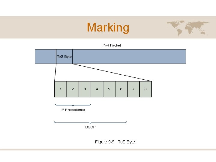 Comp TIA Network Chapter 9 Optimizing Network Performance