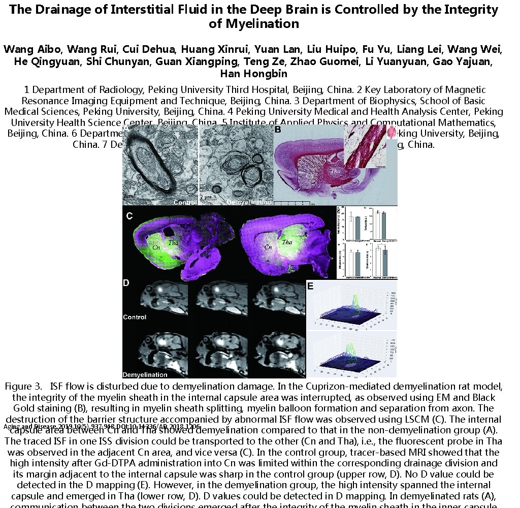 The Drainage of Interstitial Fluid in the Deep