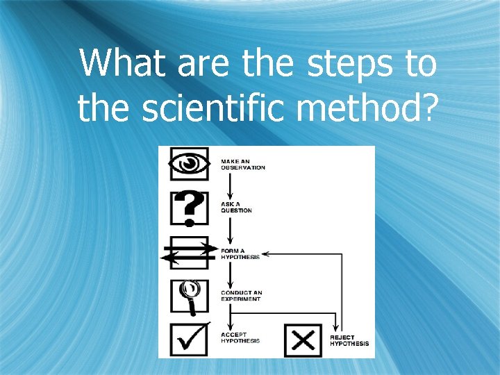 What are the steps to the scientific method