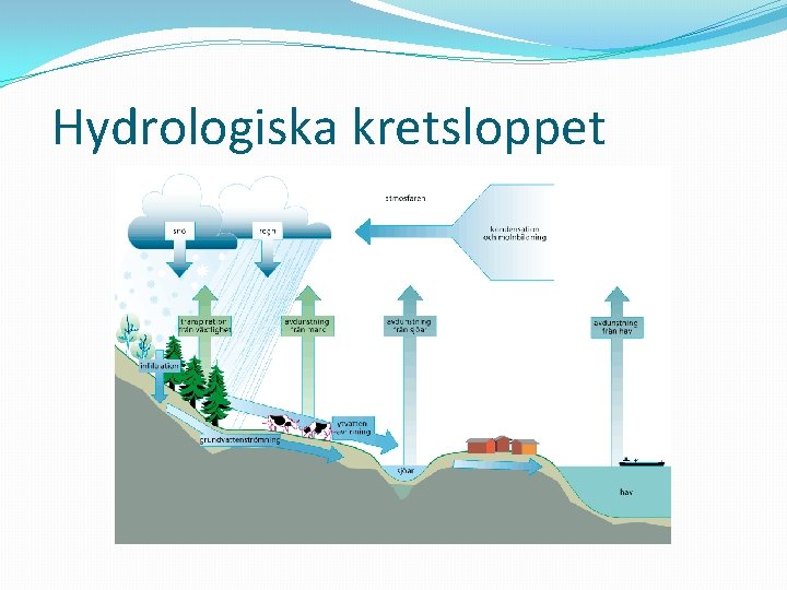 Vattnets kretslopp Hydrologiska kretsloppet Jordklotets vatten Ytvatten ...