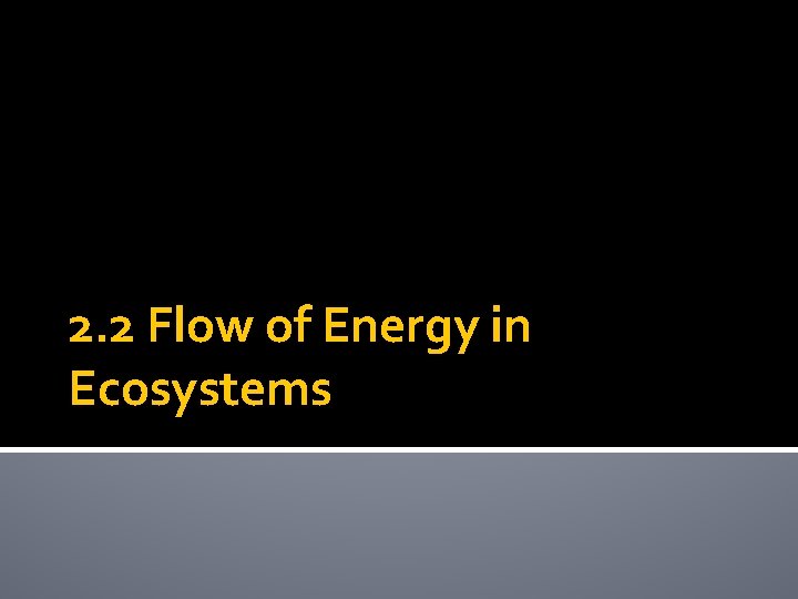 2 2 Flow of Energy in Ecosystems Energy