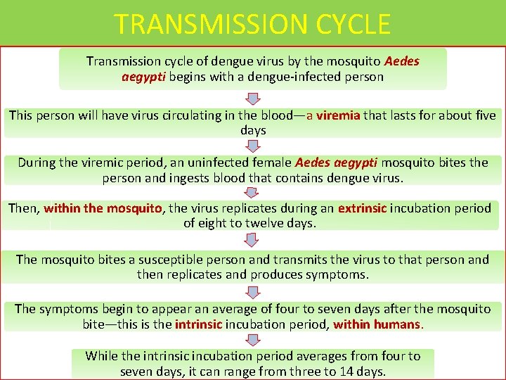 DENGUE ITS PREVENTION EPIDEMIOLOGY In India first outbreak