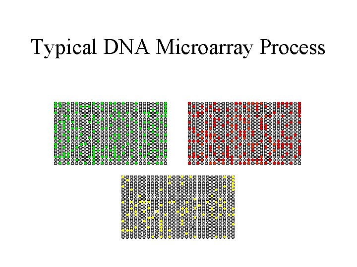 Yeast Comparative Genomic Hybridization CGH A method for