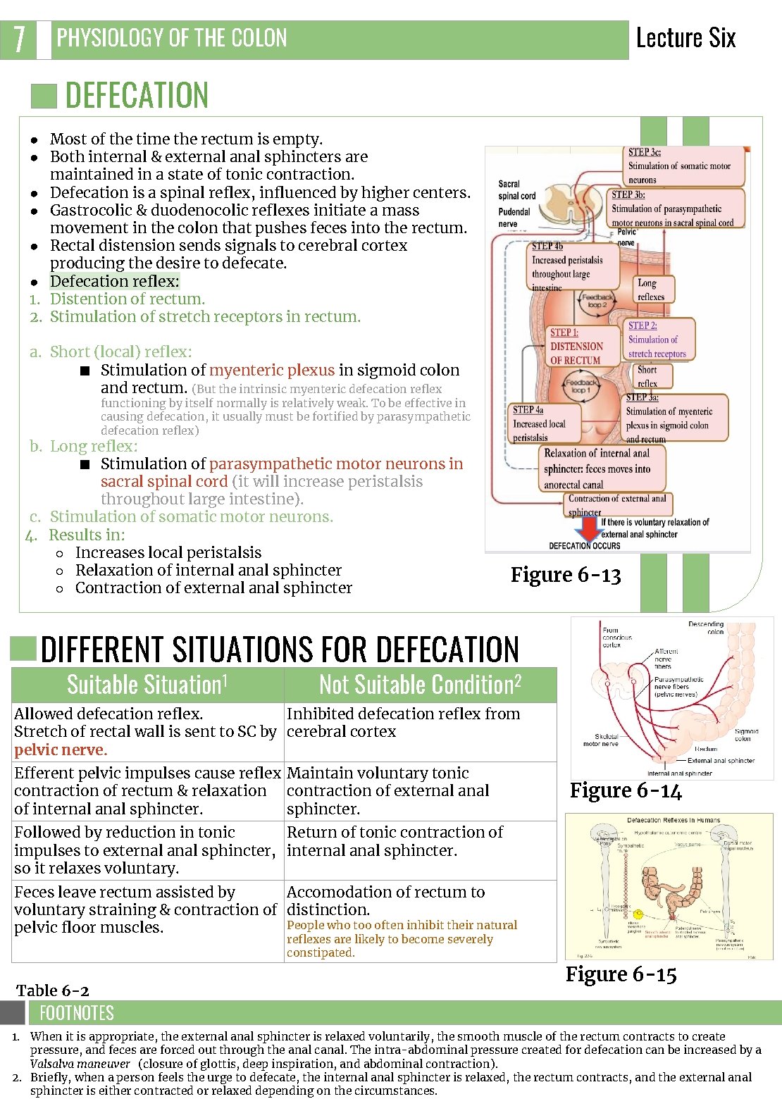 LECTURE VI Physiology of the Colon IMPORTANT MALE