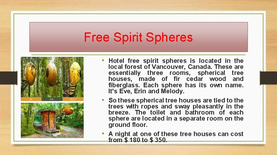 PROJECT IN ENGLISH LESSON ISSUED BY ZOUBOURDIKOUDI DESPOINA