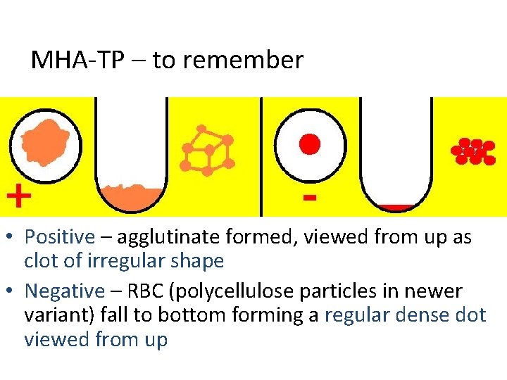 Institute for microbiology shows TRACING THE CULPRIT L