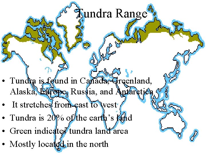 Tundra Biome Plant Life Very few plant species