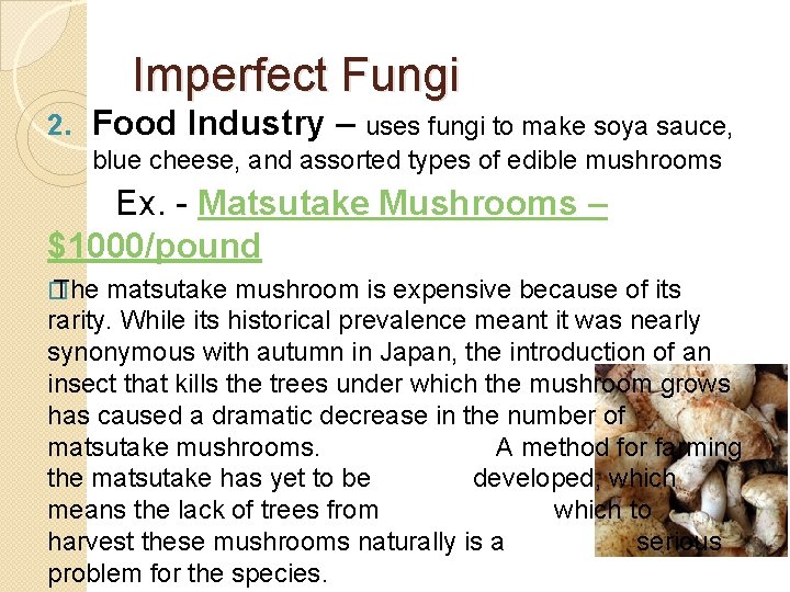 Kingdom Fungi Plant Use photosynthesis Starch is the