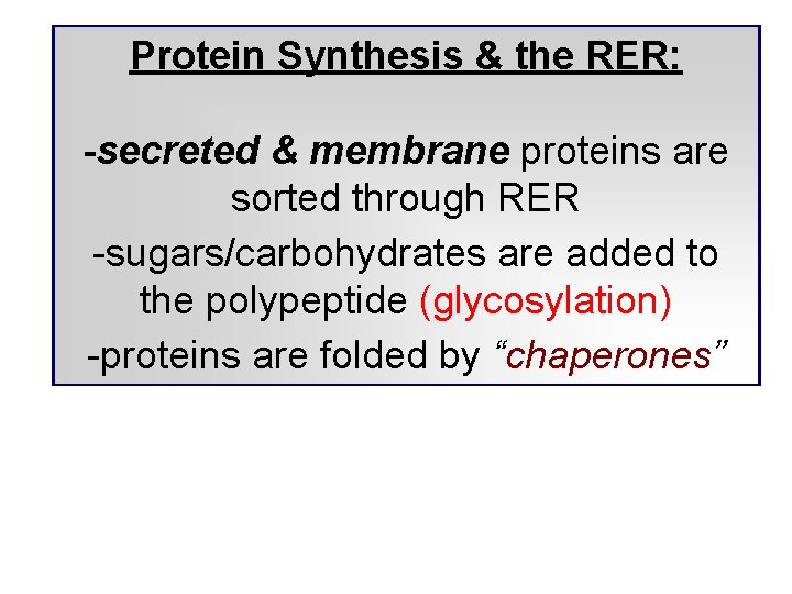 Protein Synthesis and Transport Protein Problems Human Diseases