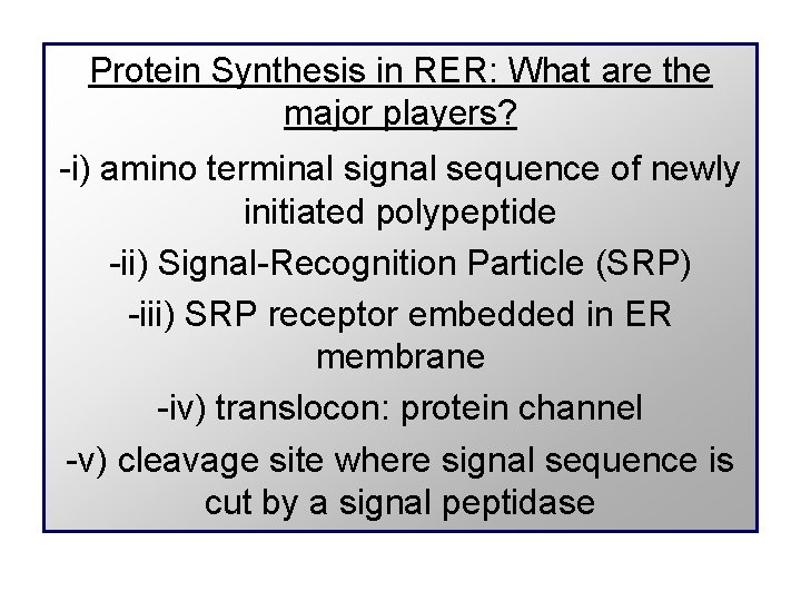 Protein Synthesis and Transport Protein Problems Human Diseases