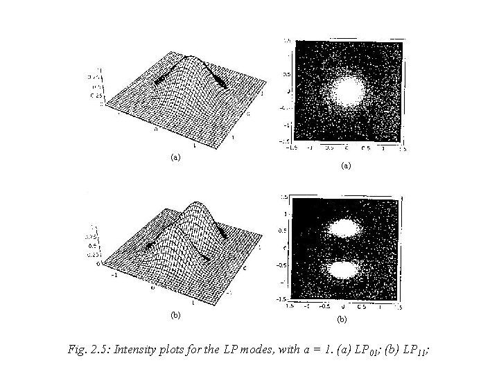 2 Optical Fibres a brief introduction Anatomy of