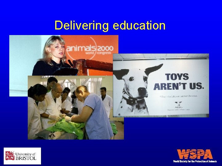 Module 14 Animal welfare organisations Learning objectives Understand