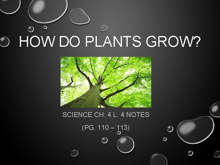 HOW DO PLANTS GROW SCIENCE CH 4 L