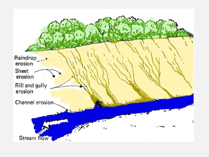 Erosion Water LEARNING GOALS Describe how wind and