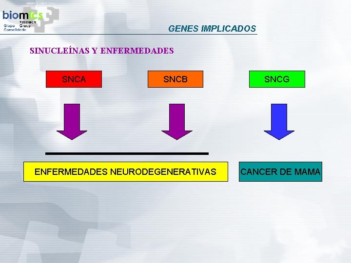 PAPEL DE LA GENTICA EN LA ETIOLOGA DE