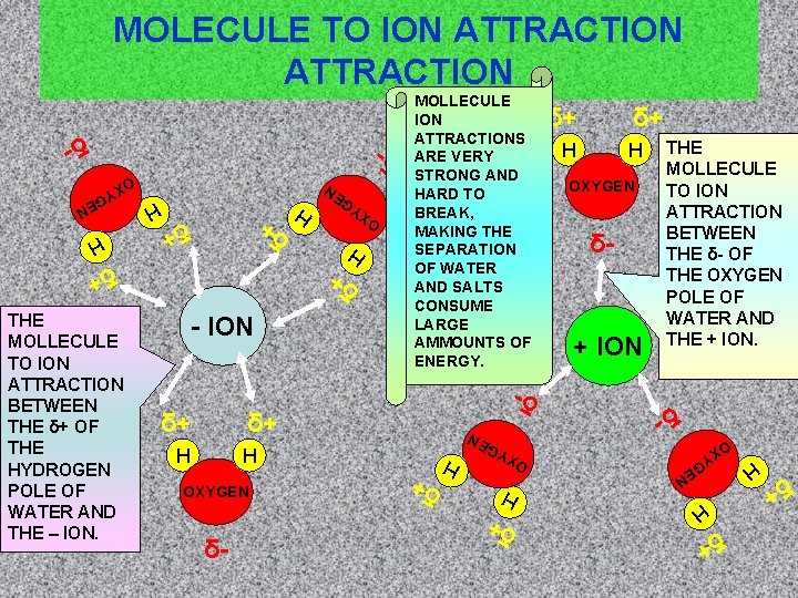 STATES OF MATTER 1 ATTRACTIONS 1 The Van