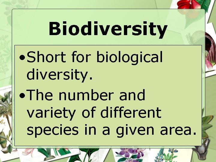 Chapter 10 Biodiversity Lesson 10 1 What is
