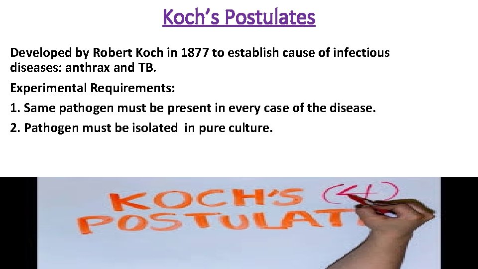 Pathology Infection and Disease Pathology the study of