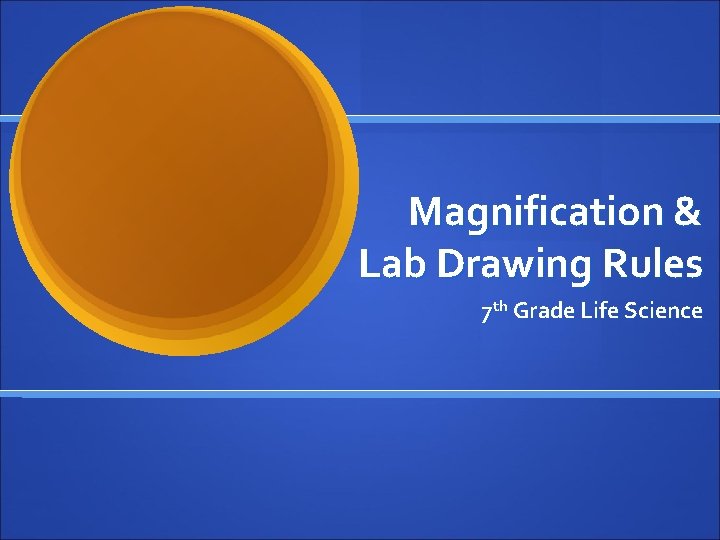 Magnification Lab Drawing Rules 7 th Grade Life