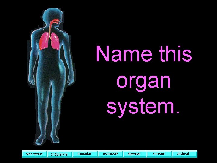 Human Body Systems These organs are in which