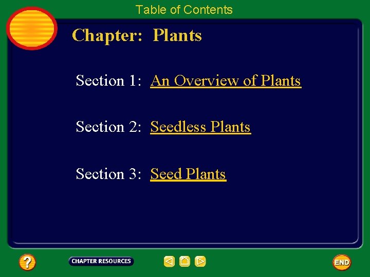 Table of Contents Chapter Plants Section 1 An