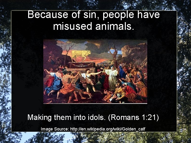 What does the Bible say about animals A