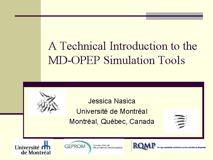A Technical Introduction to the MDOPEP Simulation Tools
