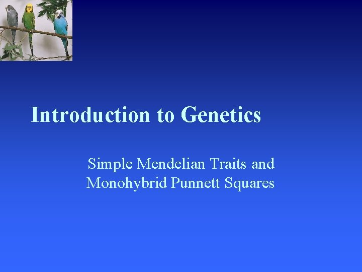 Introduction to Genetics Simple Mendelian Traits and Monohybrid