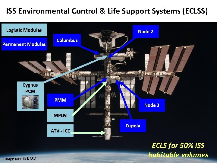 Italian BIoregenerative Systems IBIS WG A national coordination