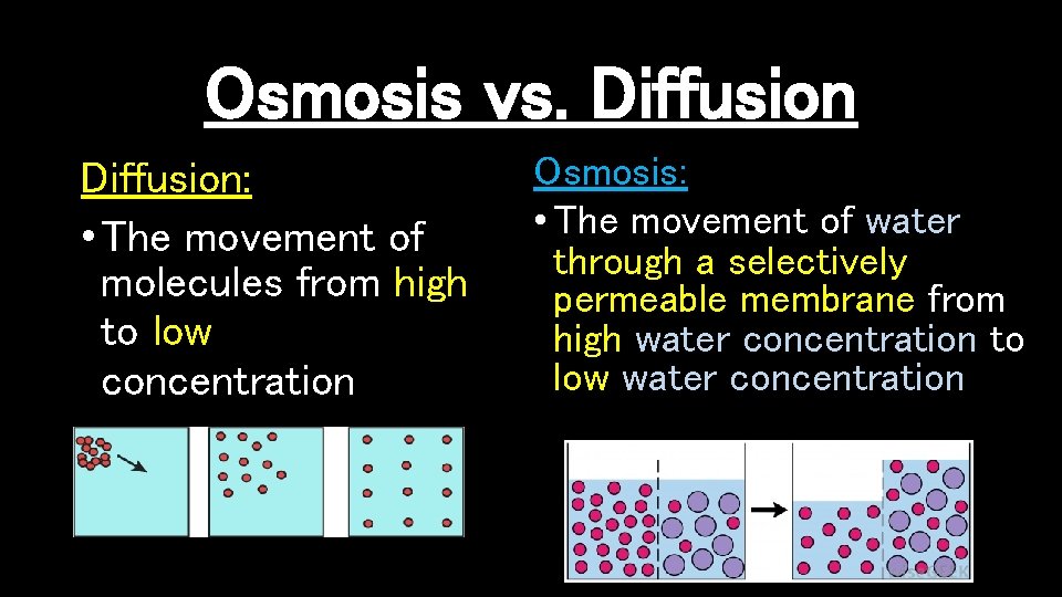 Osmosis vs Diffusion The movement of molecules from