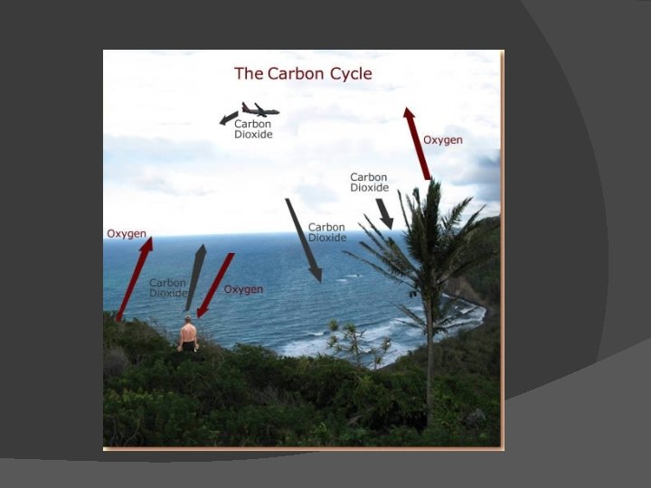 NUTRIENT CYCLES AKA The Water Cycle HYDROLOGICAL CYCLE