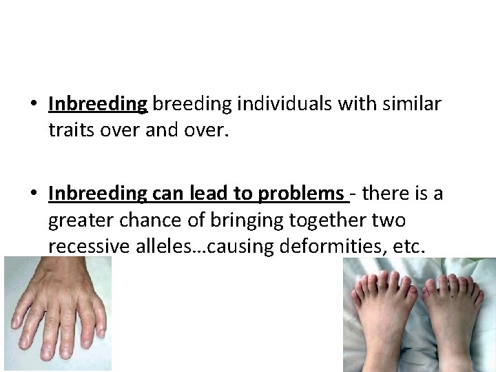 CHAPTER 13 NOTES Selective breeding only those animals