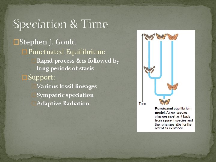 The Origin of Species AP Biology Chapter 24