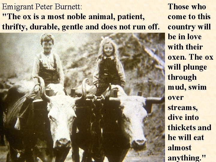 Objective To examine the settlement of the Oregon