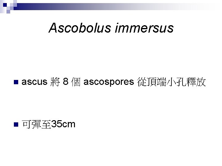 Active liberation of reproductive units in terrestrial fungi