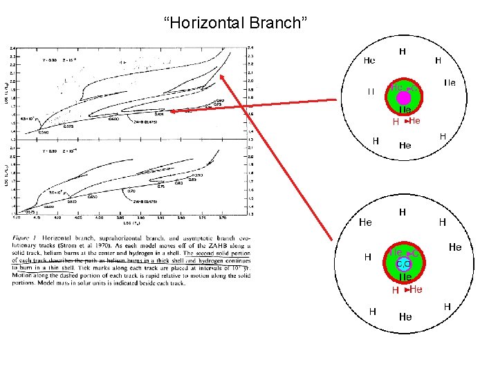 6 Stellar EvolutionI The life history of a