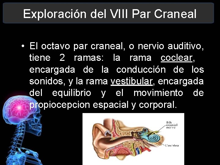VIII Par Craneal Exploracin del VIII Par Craneal