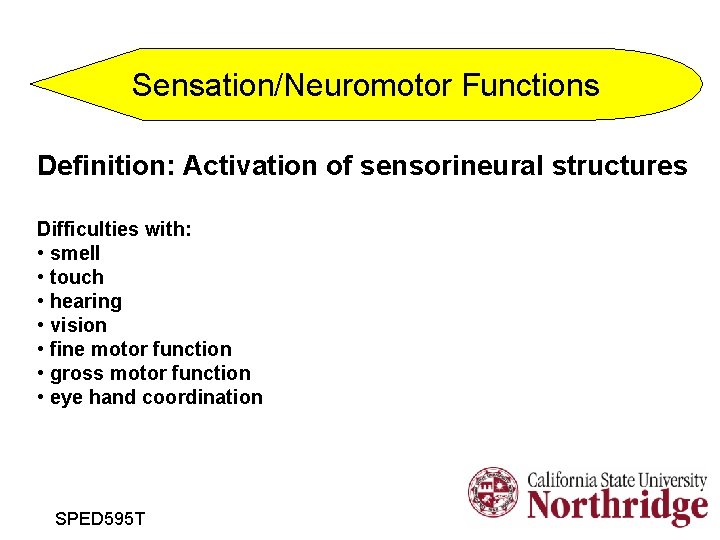 Hierarchy of Experience Johnson D J Myklebust H